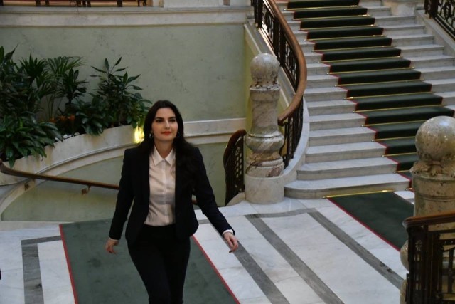 Kululu Sultan Kayhan, İsveç'te yeniden milletvekili adayı