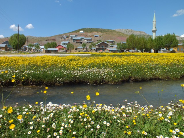 Toroslar'da yaylalar şenlendi